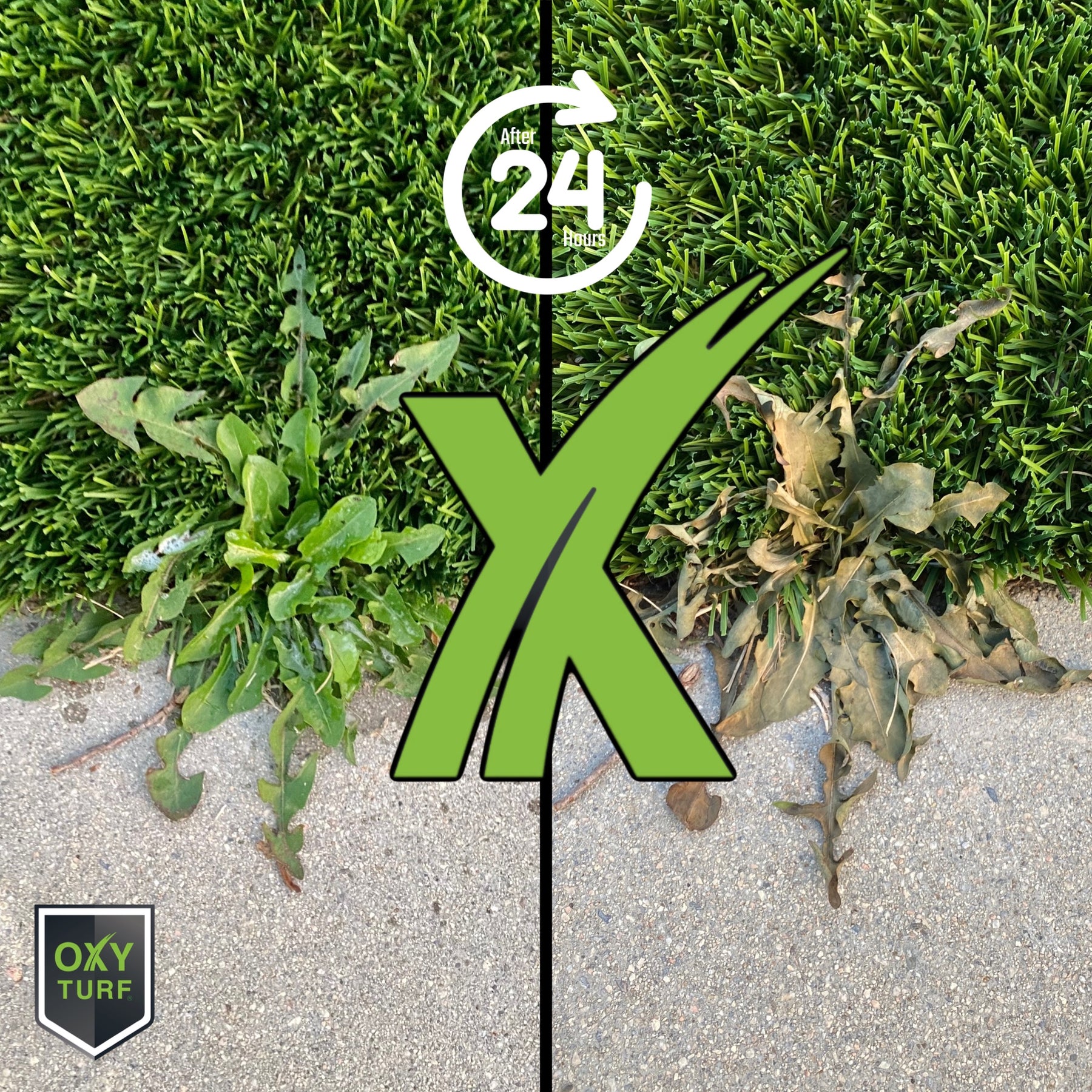 OxyTurf X - Weed & Grass Killer